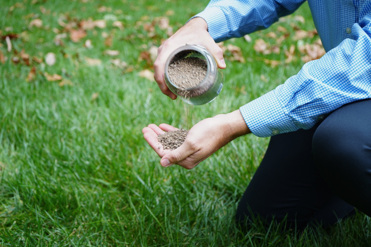 When To Apply Lime To Lawn | Green Lawn Fertilizing