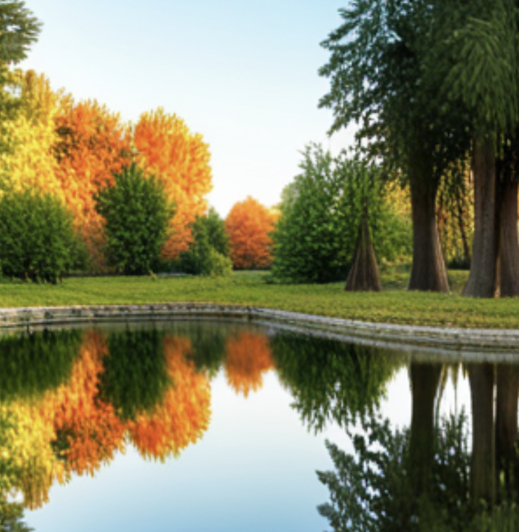 How To Control Mosquitos in Ponds